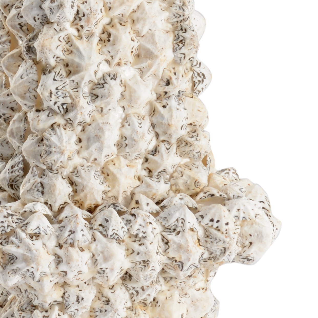 Chelsea House Chelsea House Misc 384165 White & Black Shell Obelisk ...