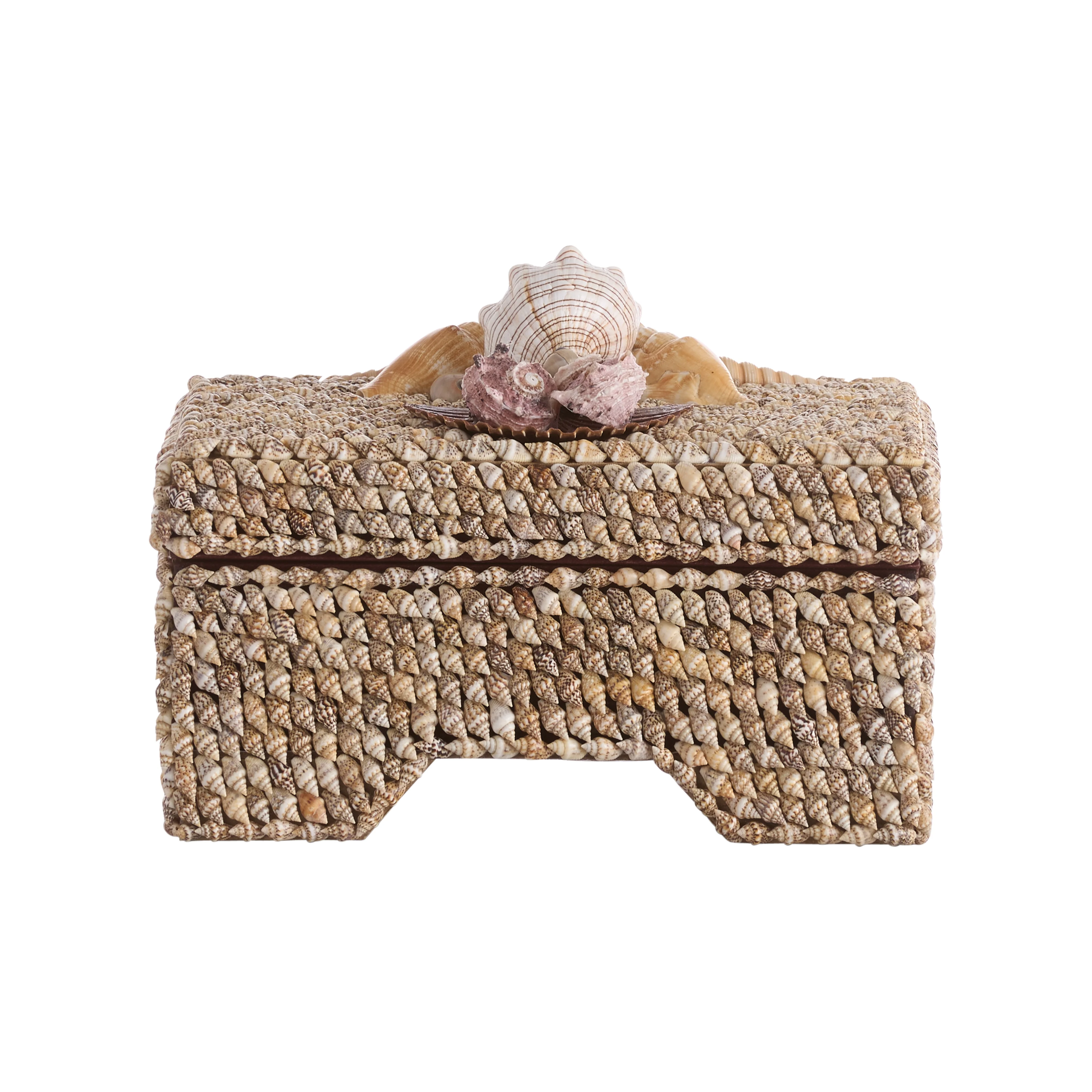 Chelsea House Chelsea House Misc 370478 Island Shell Box | Birmingham ...