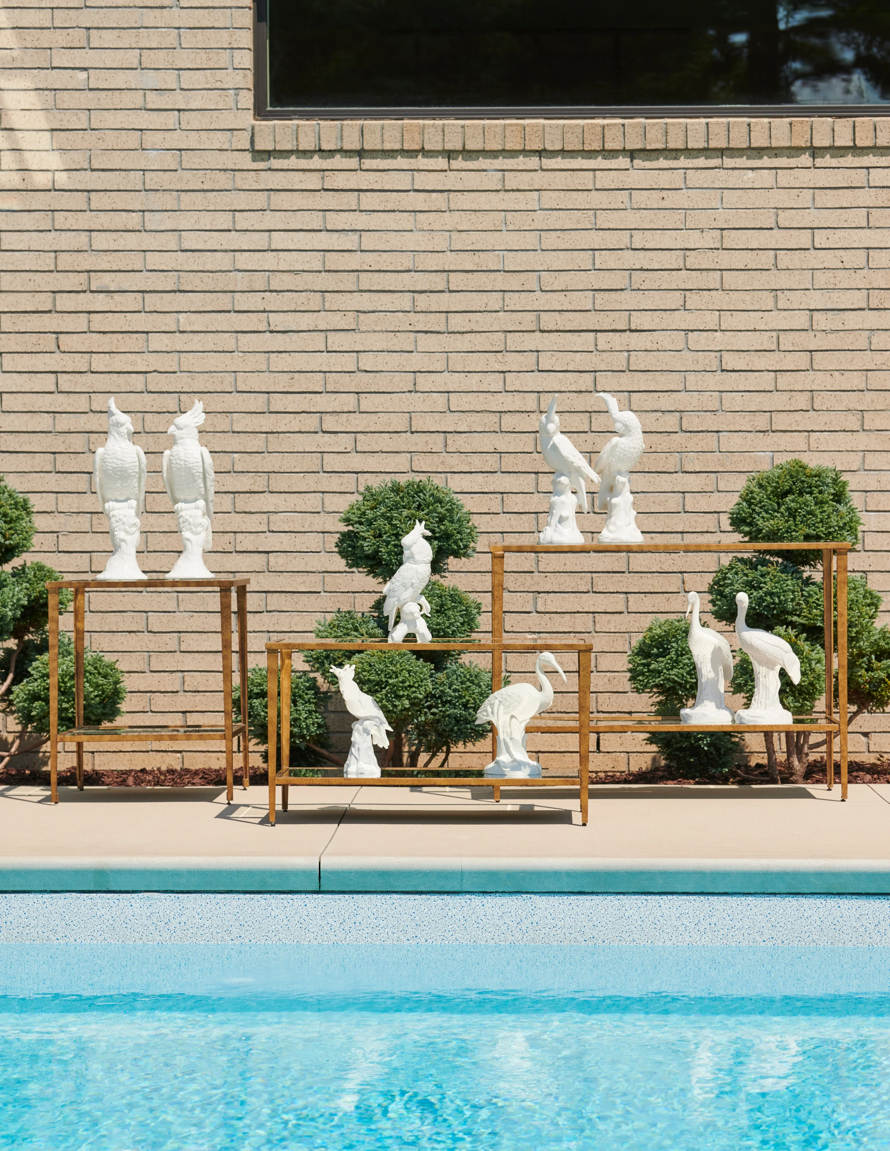 Chelsea House Chelsea House Misc 382631 Cockatoos (Pr) | Birmingham ...