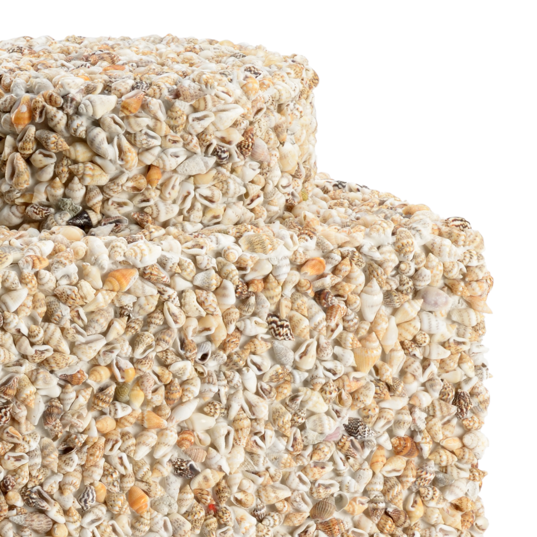 Chelsea House Chelsea House Misc 384169 Tea Caddy - Shells | Birmingham ...