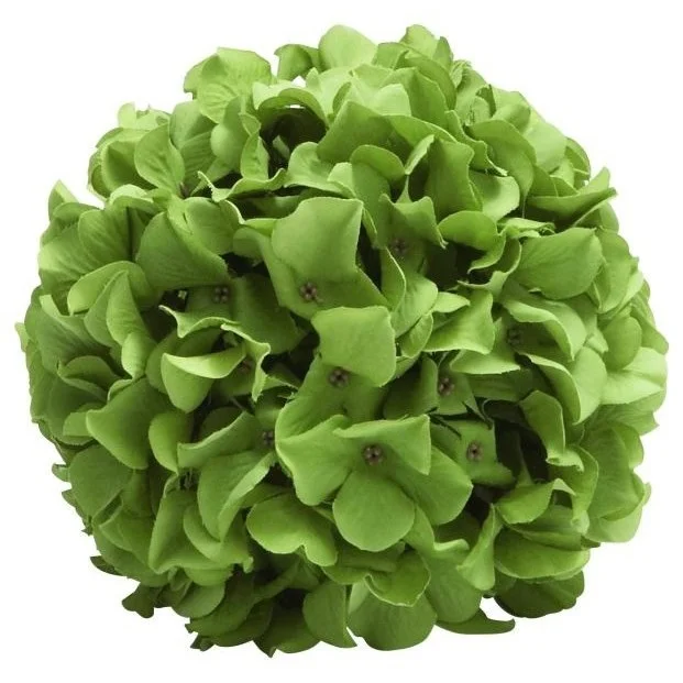 UMA Enterprises, Inc. Accessories 20518 Hydrangea Ball, 7"D | Reeds ...