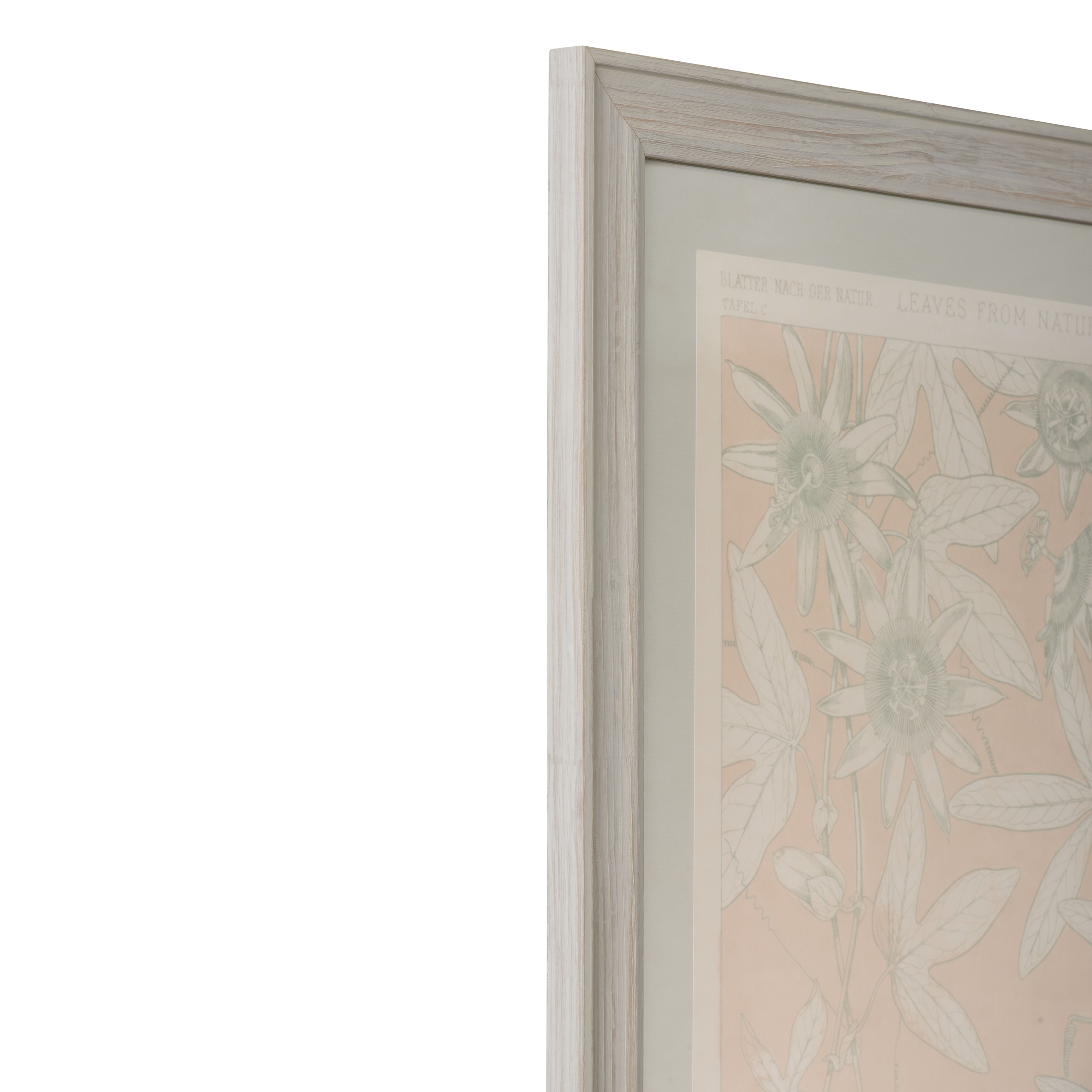 Chelsea House Chelsea House Misc 387245 Leaves From Nature No.10 ...