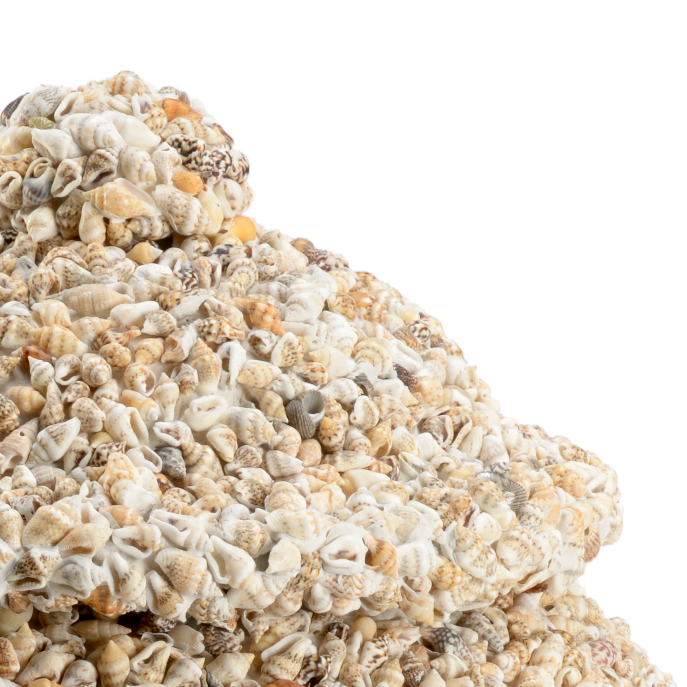 Chelsea House Chelsea House Misc 384170 Shell Covered Urn | Birmingham ...