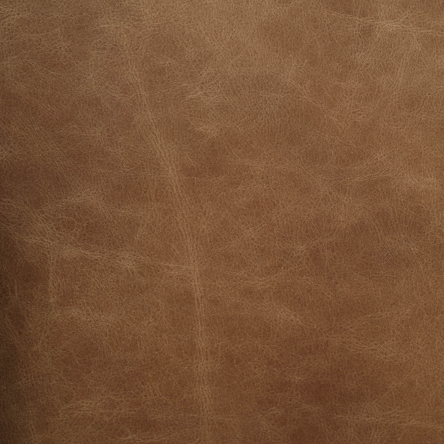 Acme Furniture Calan 92108 Contemporary Executive Office Chair in Top ...