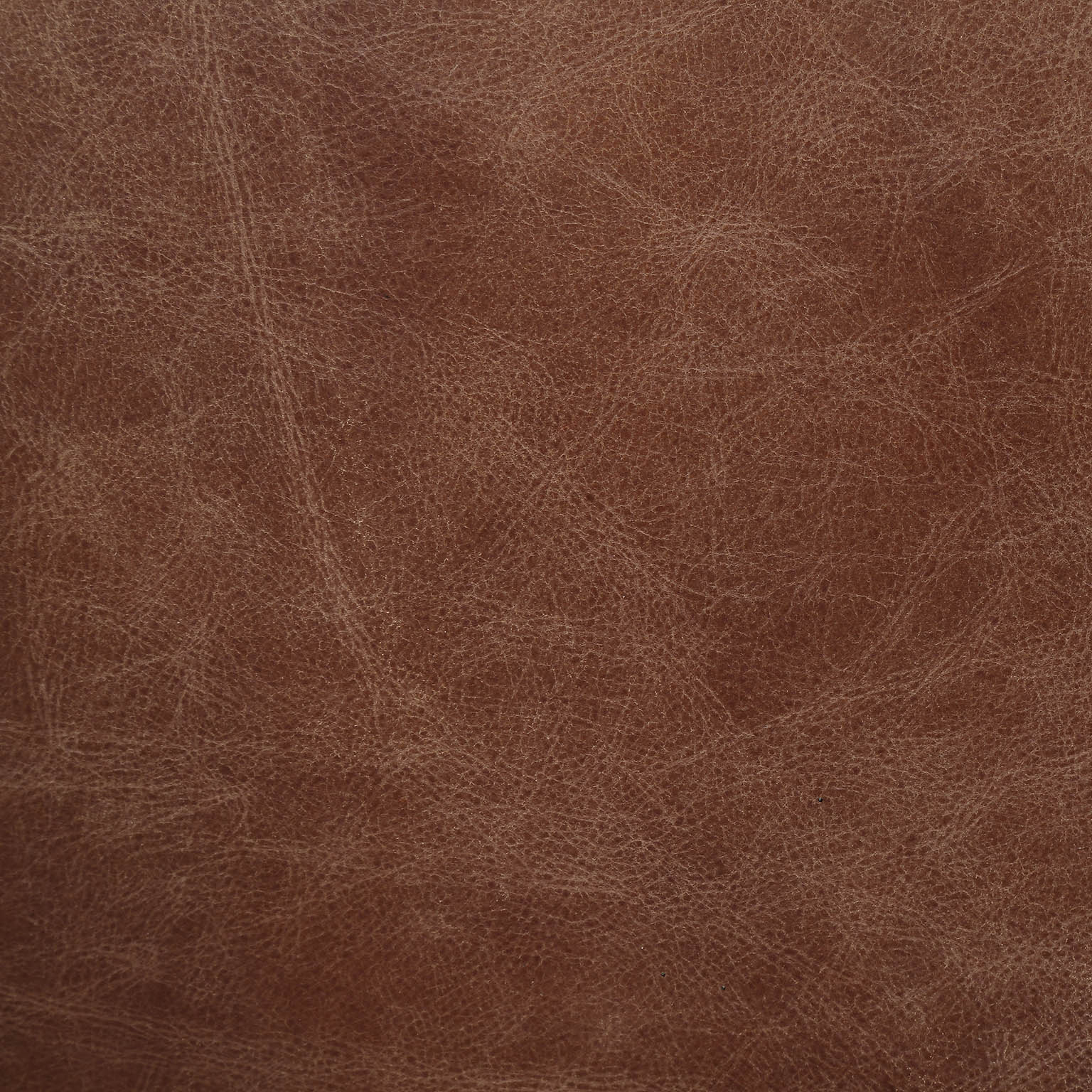 Acme Furniture Calan 92110 Contemporary Executive Office Chair in Top ...