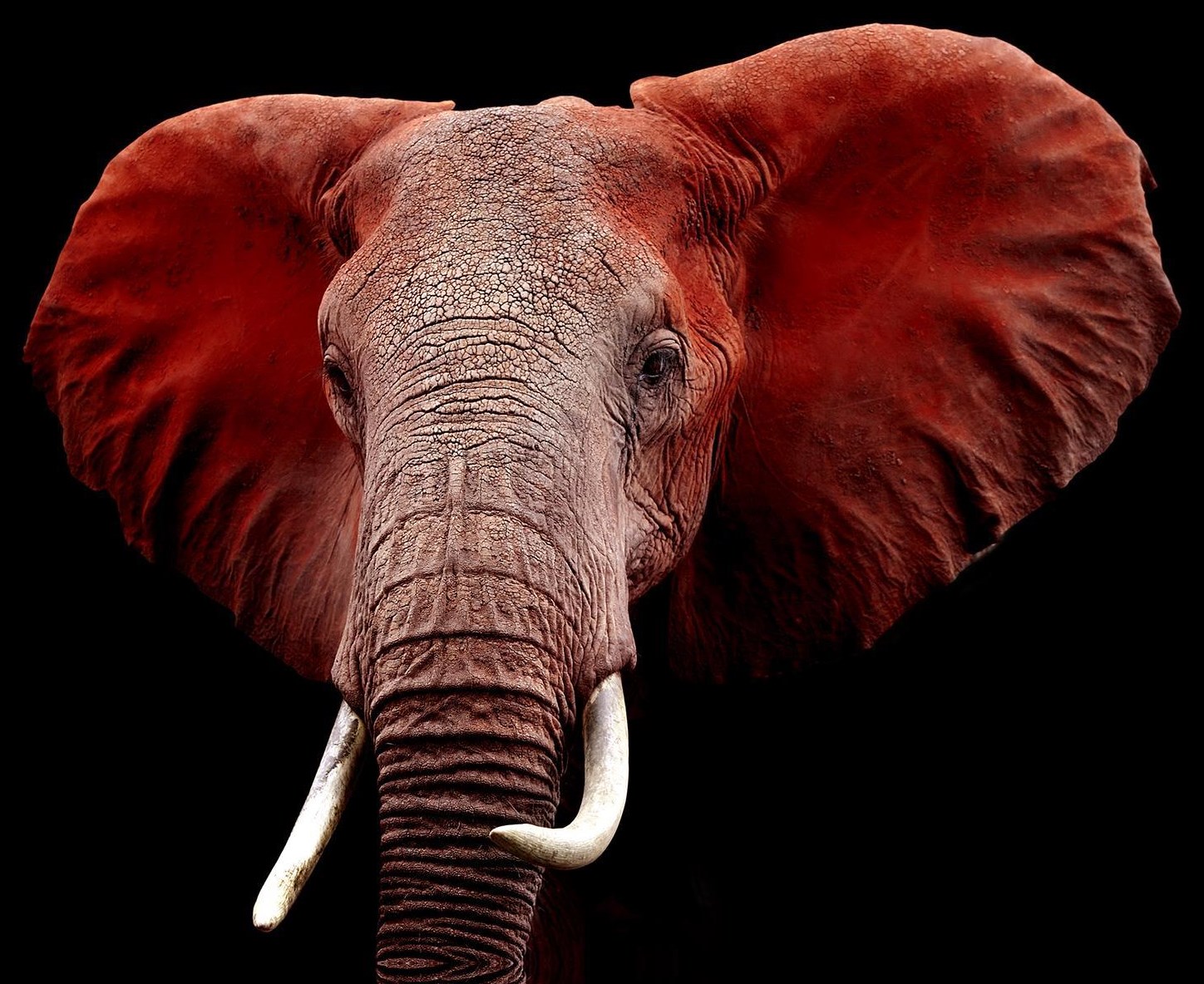 Wall Decor in Phoenix, Glendale, Tempe, Scottsdale, Avondale, Peoria ...