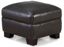 Ottomans in Knoxville, East Tennessee, Oak Ridge, Maryville, Tennessee ...