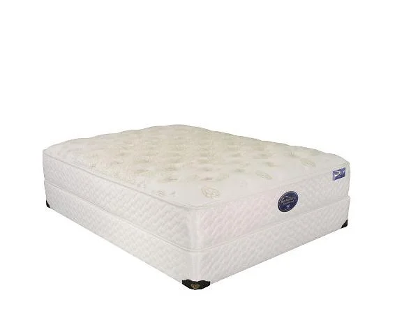 Spring Air Back Supporter BSUP Plush Mattress | Mueller Furniture ...